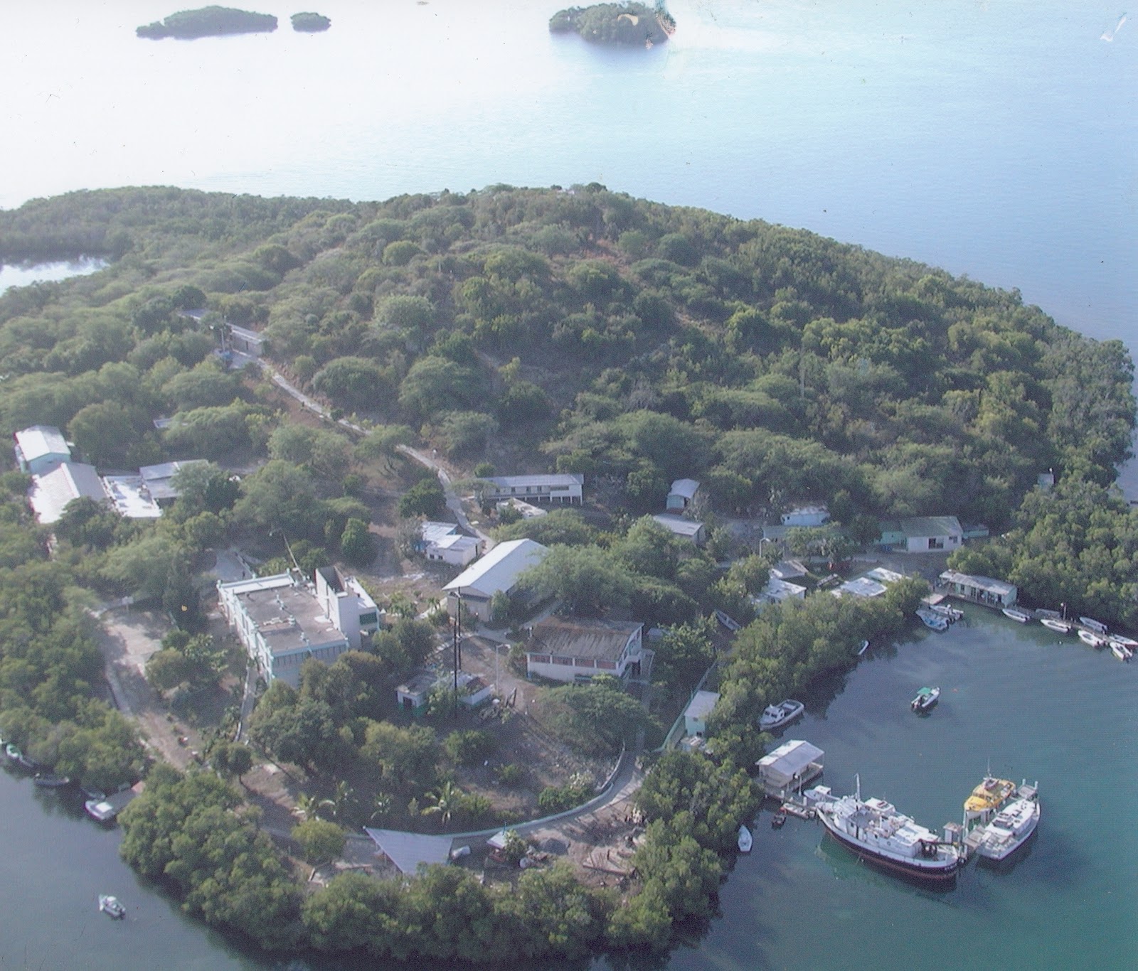 Marine Life of Puerto Rico: Spot Check